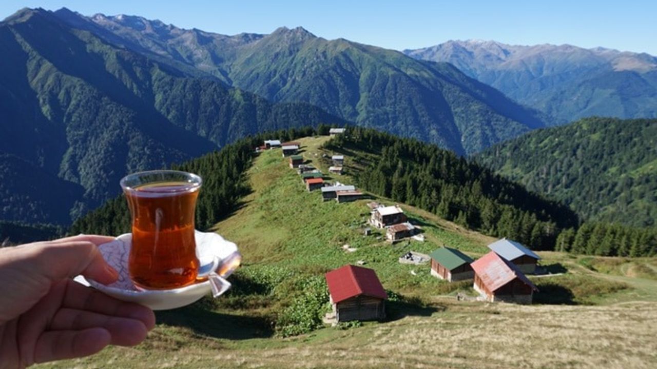 En Güzel Rize Yaylaları : Favori 8 Rize Yaylası - Rize Haber, Son ...